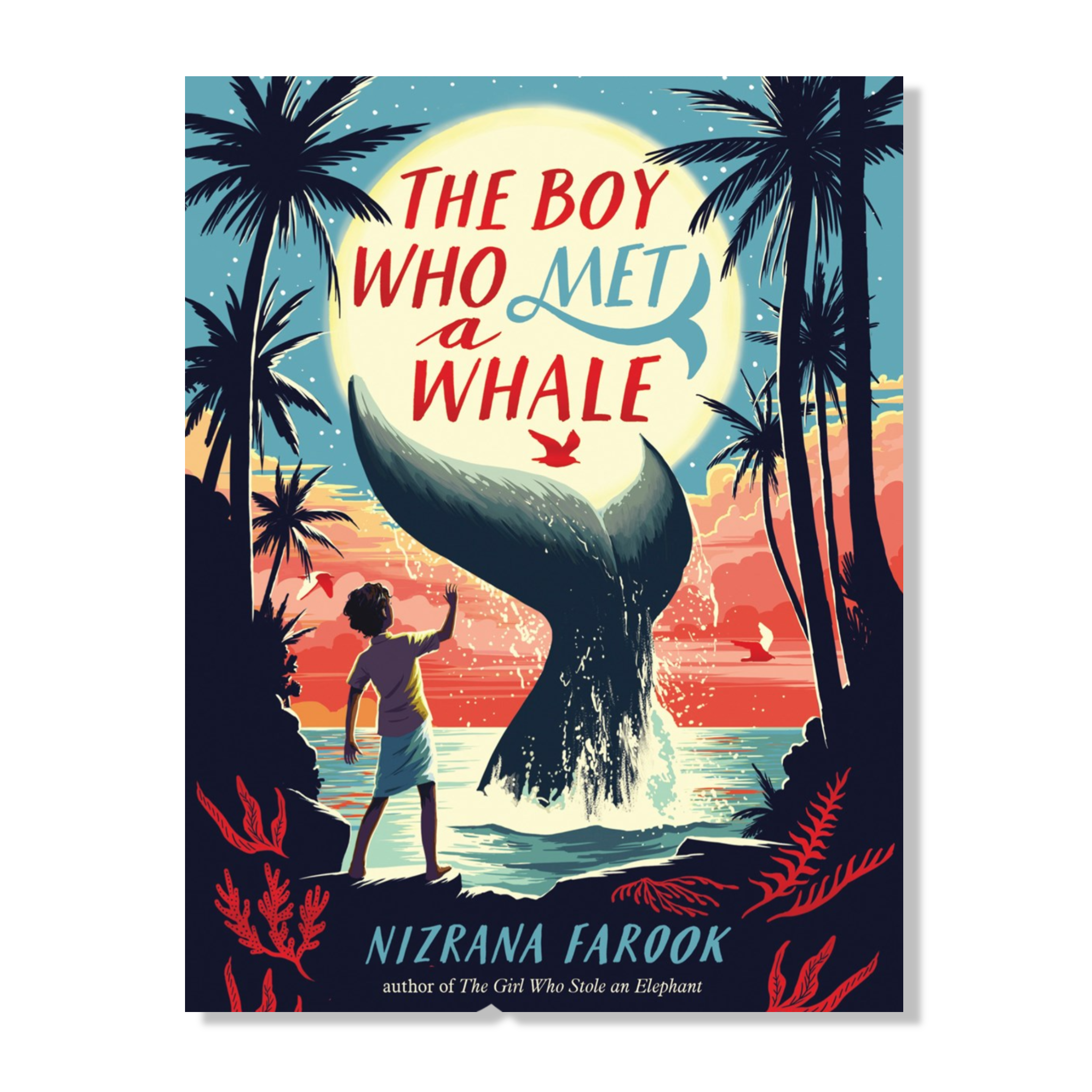The Boy Who Met a Whale – Casita Bookstore